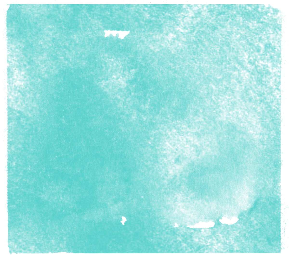 Actividades Cuento_Rosa Caramelo_Primaria | Genially