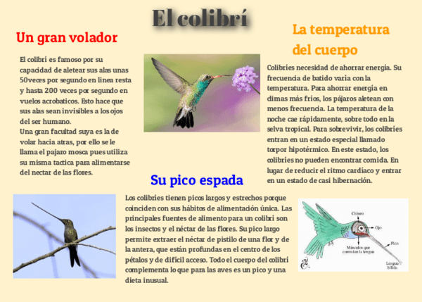 El colibrí