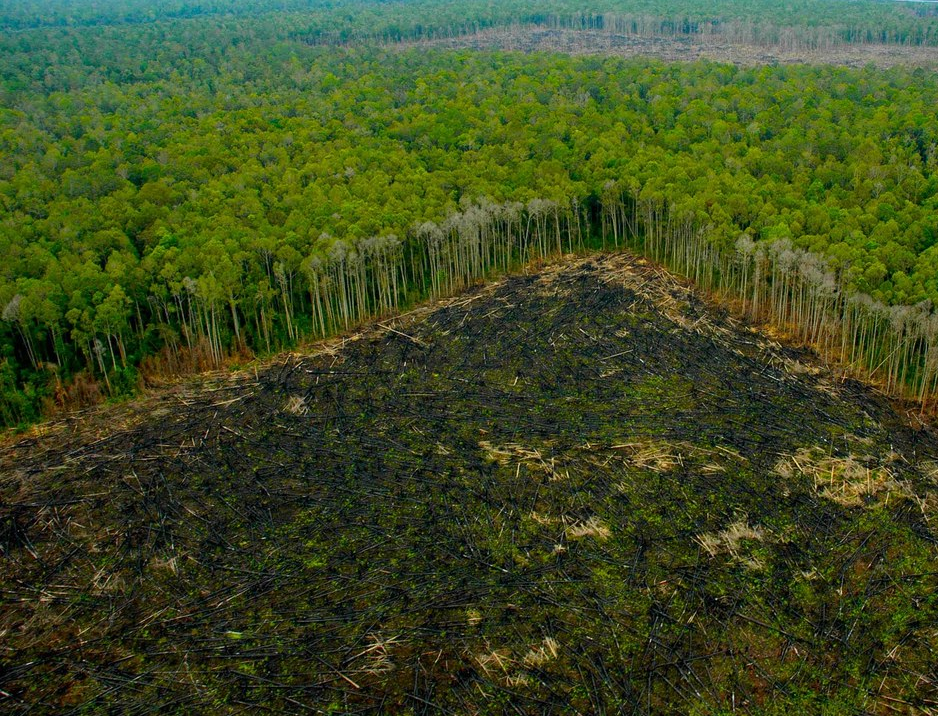Sobreexplotación de recursos naturales