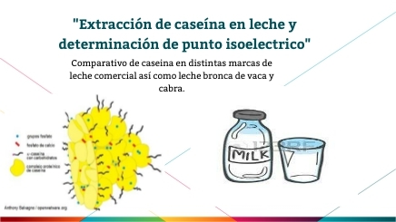 EXTRACCIÓN DE CASEÍNA-BIOQUÍMICA