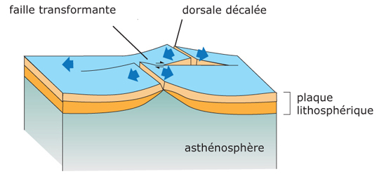 Faille transformante