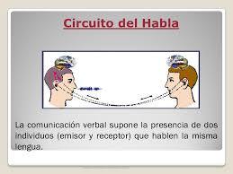 circuito del habla